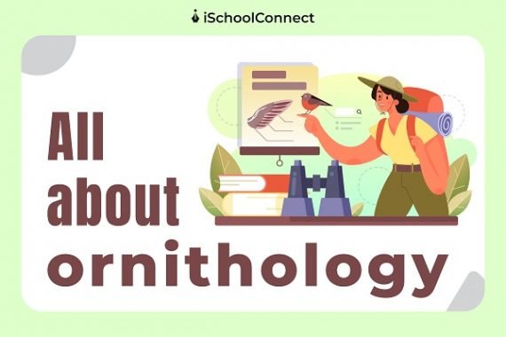 Study of Birds: Your Guide to Becoming an Ornithologist!