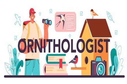 Study of Birds: Your Guide to Becoming an Ornithologist!