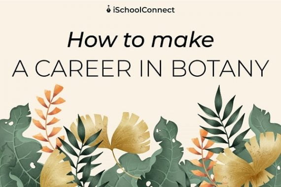 Study of Plants: Fascinating Facts & Careers