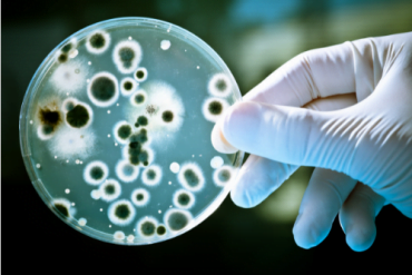 BSc Microbiology Subjects | All You Need to Know