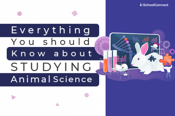 Everything You Need to Know About Studying Animal Science!