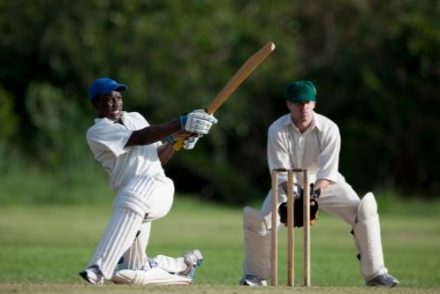 Top Cricket Academies: Train Like a Pro