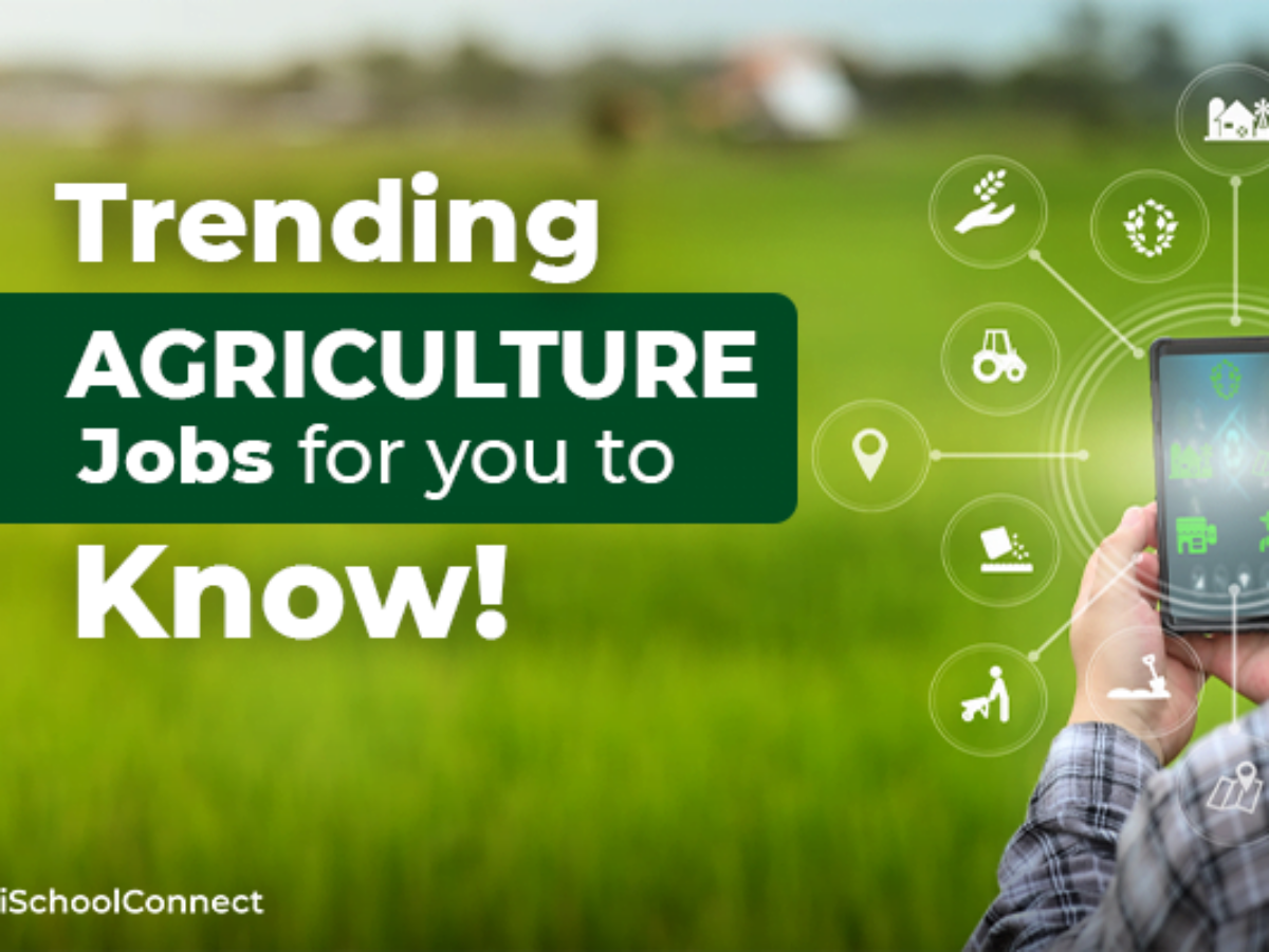 Agronomist Jobs Top 7 Agriculture Jobs In The Industry