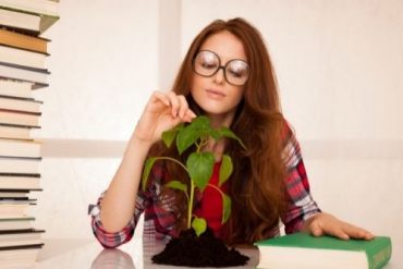 MSc Botany: Course, syllabus, colleges, eligibility & more