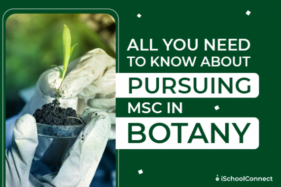 MSc Botany: Course, syllabus, colleges, eligibility & more