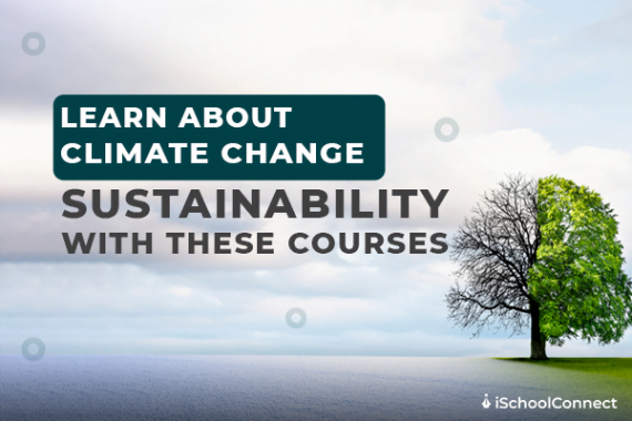 Top Climate Change and Sustainability Courses to Pursue