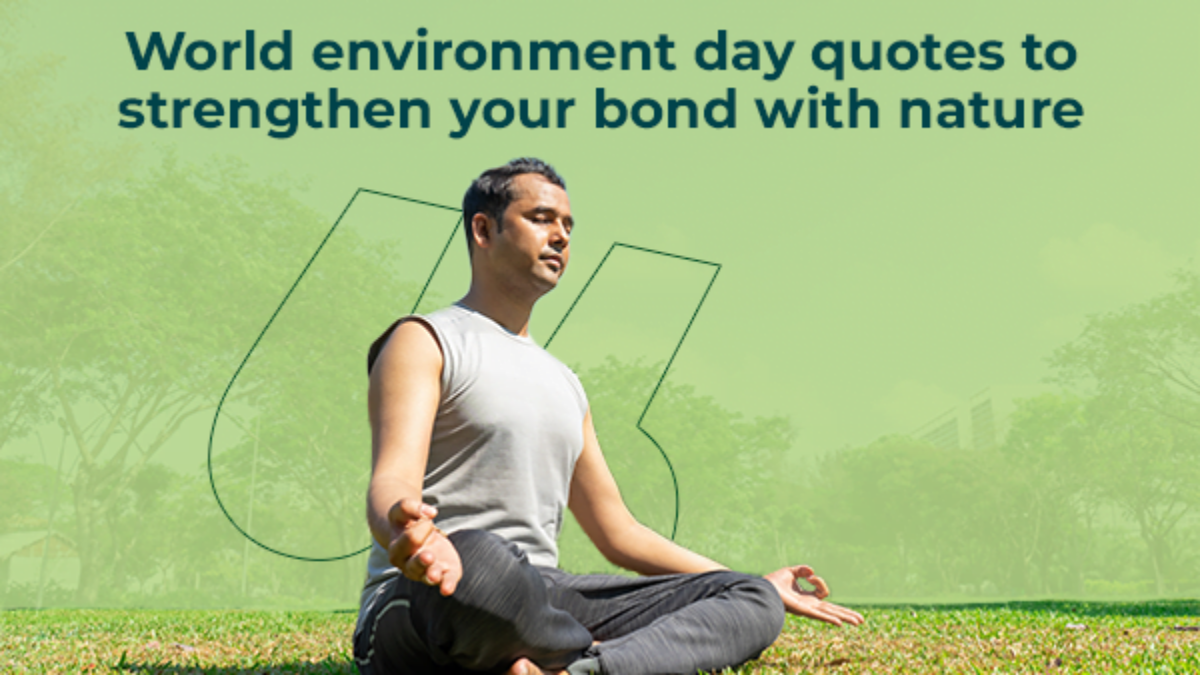 Easy Environment Quotes