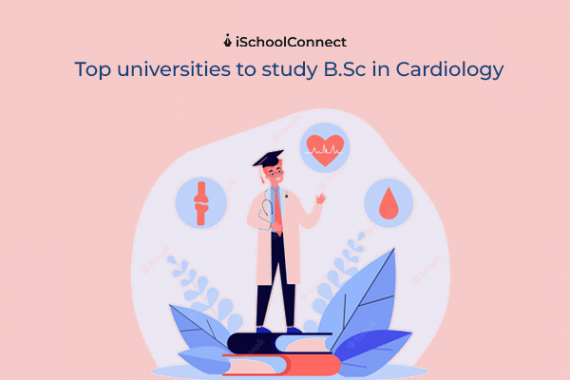 BSc cardiology | Let's start exploring the heart!