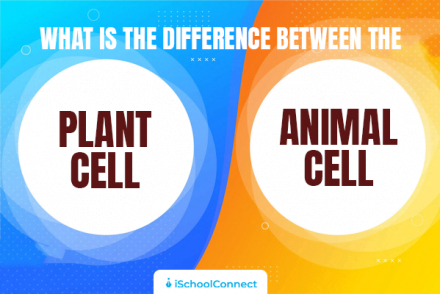 Here are top difference between plant cells and animal cells