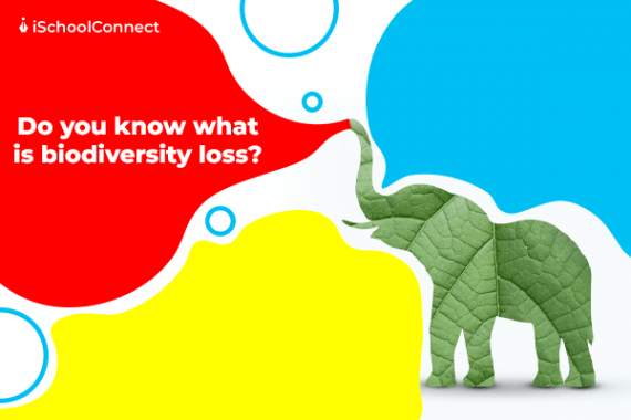 Biodiversity Loss: Causes, Solutions, & How Students Can Help