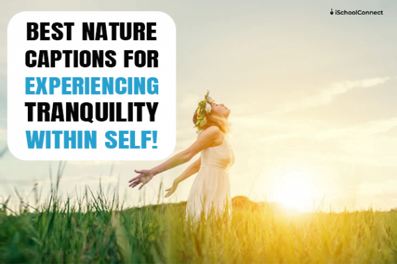 Best Nature Captions for Instagram to Inspire Your Feed