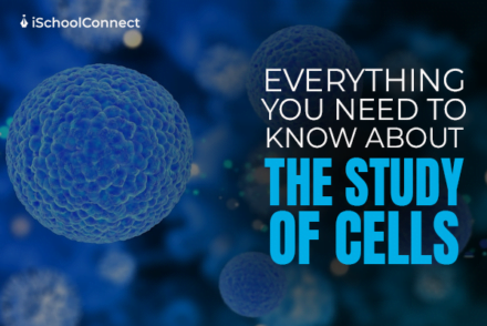 Cell Biology: The Study of Cells Explained