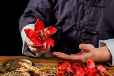 Floral Wonders: The Study of Flowers