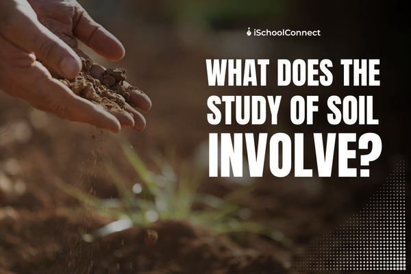 Study of soil- definition, types, properties, and much more