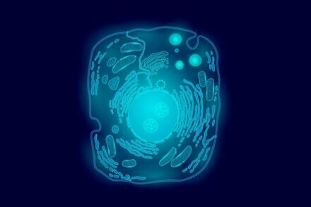 Cell Biology: The Study of Cells Explained