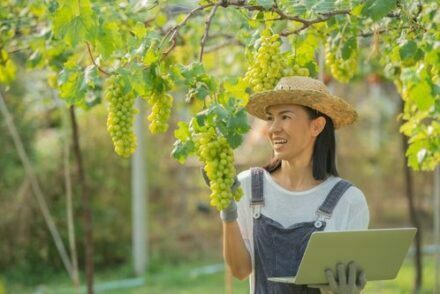 Study of fruits | Here's everything you need to know about pomology!