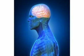 Unlocking the Mind: Study of Brain Science