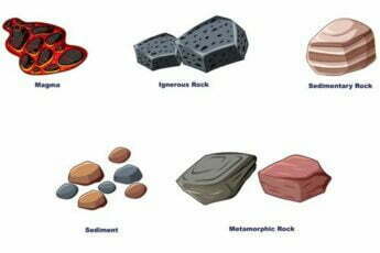 Geology Guide: The Study of Rocks
