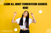 Science of fermentation | History, types, and stages