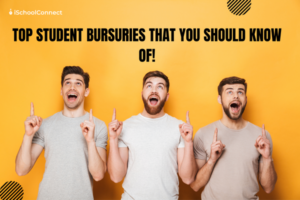 What are student bursaries?