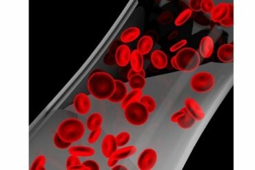 Study of blood | definition, and functions
