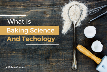 Sweet Science: Delve into Baking Science and Technology