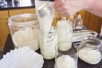 The Science of Fermentation: Process & Benefits