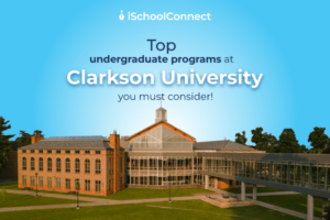 Clarkson University: Top 10 Undergraduate Programs & Careers
