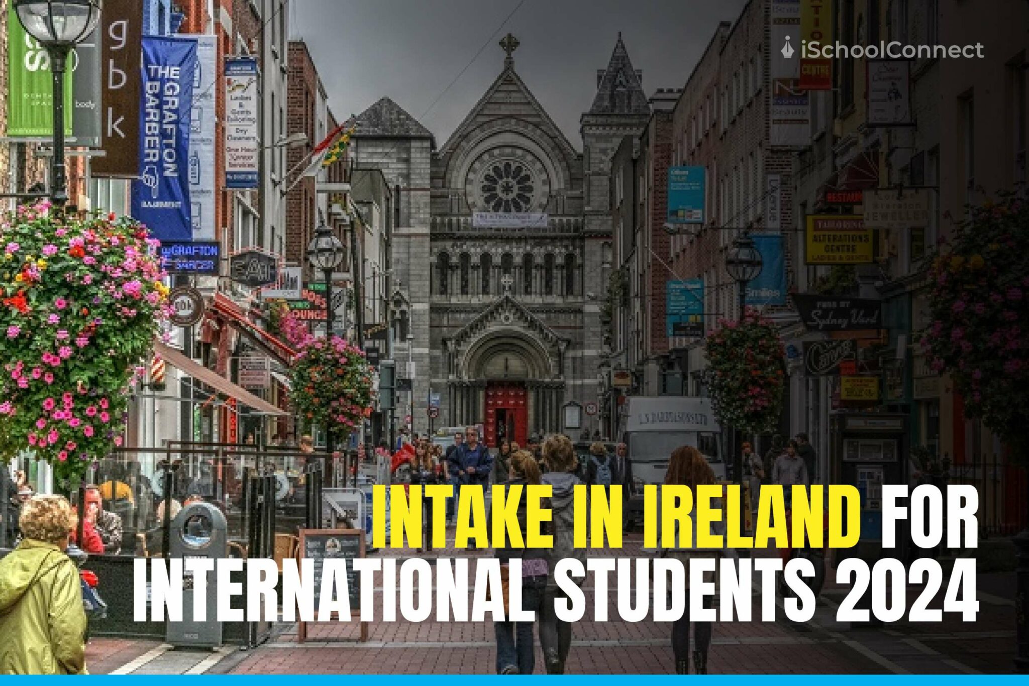 Upcoming Intakes in Ireland for International Students