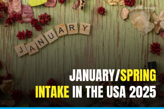 Spring Intake in the USA 2025: Timelines & Key Details